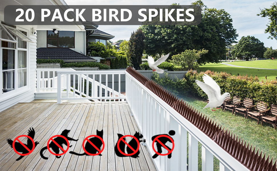 Amazon.com : Bird Spikes, 20 Packs Bird Deterrent, Raccoon and Squirrel ...
