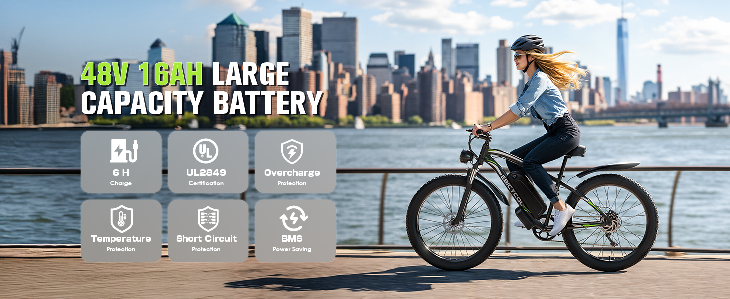 Amazon.com : 24 inch 1000W Electric Bike for Adults, 20MPH Electric Bicycles with Removable ...