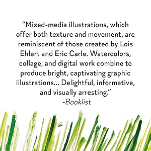 Amazon.com: Armadillo Antics: 9781612545479: Martin, Bill, Jr, Sampson, Michael, Beauvois ...