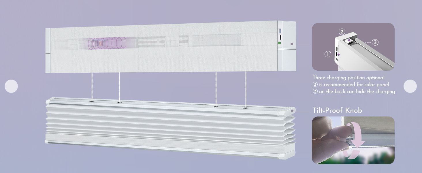 Amazon.com: Graywind Smart Top Down Bottom Up Cellular Shades Compatible with Alexa Google Solar ...