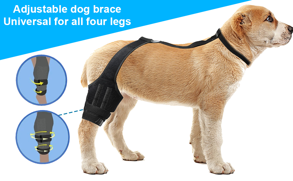 Amazon.com : Premium Dog Knee Brace for Torn ACL Hind Leg, Dog ACL Knee Brace Dog Leg Braces for ...