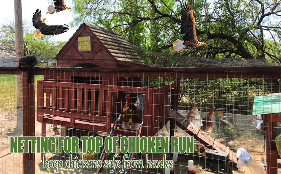 Amazon.com : Anti-Bird Netting for Garden Chicken Coops - 1" Mesh Garden Netting Over Garden ...