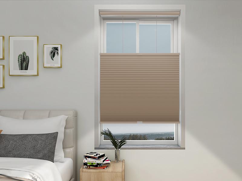 Amazon.com: Changshade Custom Top Down Bottom Up Shades,Blackout Cellular Shades Cordless,Top ...