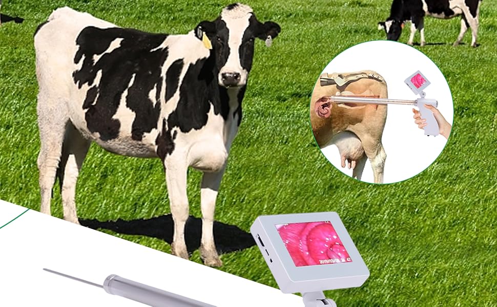 Amazon.com: Fluoxtine Artificial Insemination AI Gun, Professional Visual Insemination Kit with ...