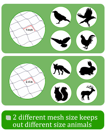 Amazon.com : Chicken Netting - 50x 100ft Garden Netting with 1" Square Mesh as Poultry Netting ...