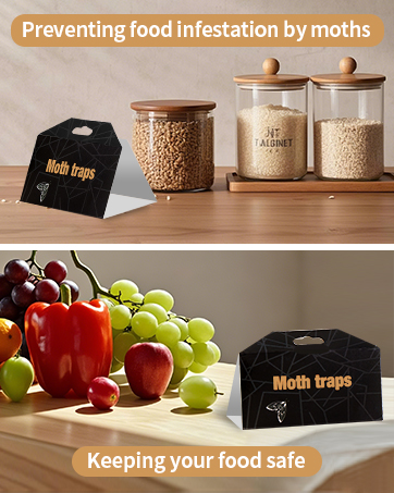 Amazon.com : PIMAG Upgraded Moth Traps, Double Potent Pantry & Clothes Traps with Pheromones ...