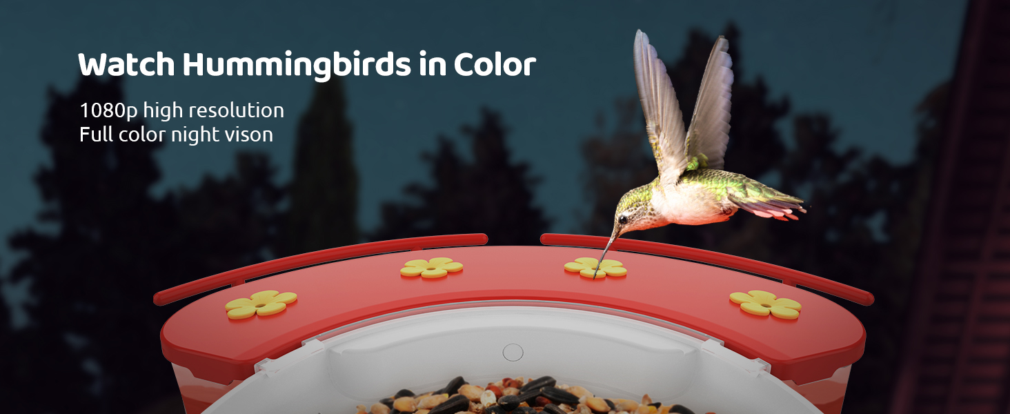 Amazon.com: NETVUE Birdfy® Hummee Smart Hummingbird Feeder with Camera, Auto Capture Bird Videos ...