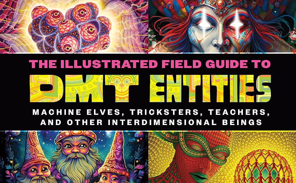 The Illustrated Field Guide to DMT Entities: Machine Elves, Tricksters, Teachers, and Other ...
