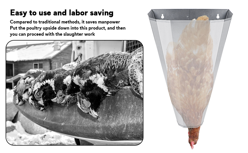 Amazon.com : Poabalyee Steel Poultry Restraining Cone for Chickens : Easy to Clean Chicken Cones ...