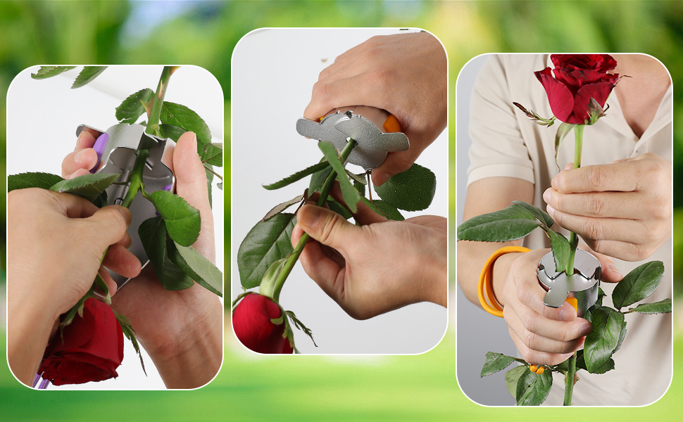 Amazon.com : UHYGSPRO Rose Thorn Stripper Tool - Handheld Thorn Remover & Stem Cleaner for ...