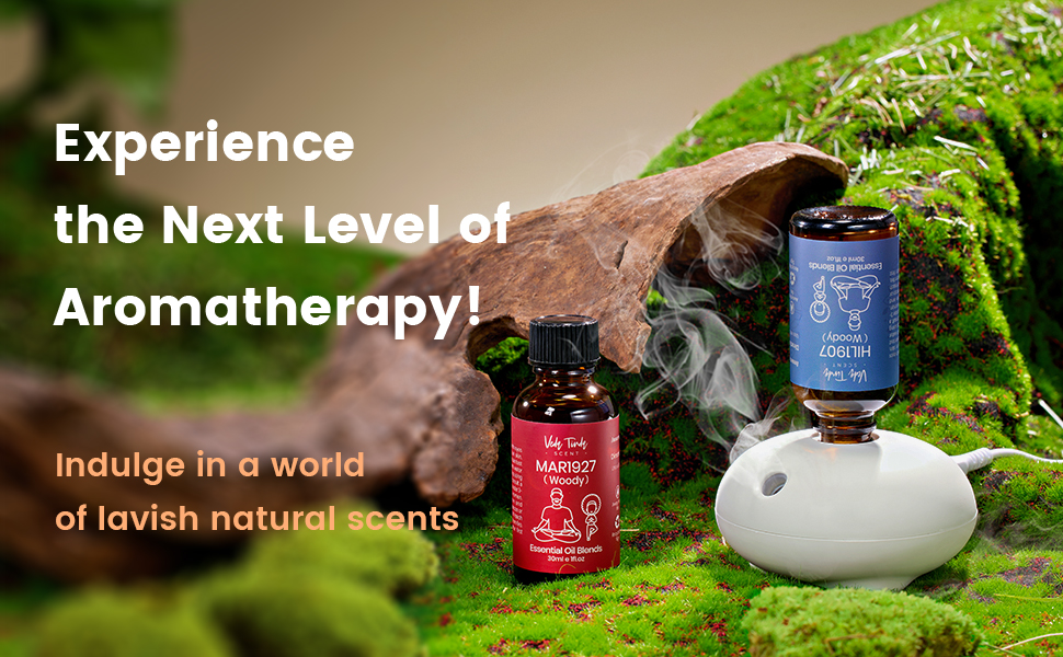 Vts Waterless Diffuser Portable Waterless Oil Diffusers Aromatherapy Pure