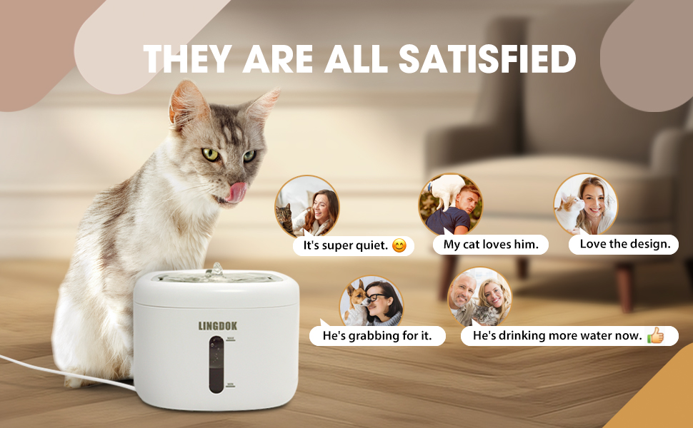 Amazon.com : LINGDOK 74oz/2.2L Cat Water Fountain for Cats and Dogs – Automatic Pet Fountain ...