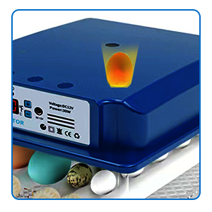 Amazon.com: Vevitts 16 Eggs Incubators for Hatching Egg with Automatic Turner, Fahrenheit ...