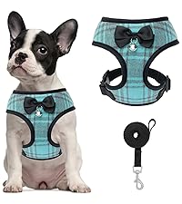 Amazon.com : PUPTECK Soft Mesh Dog Harness and Leash Set Step-in Plaid Puppy Padded No Pull Vest ...