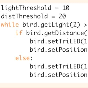Amazon.com: Finch Robot with Micro:bit V2 I Learn Basic Coding to ...