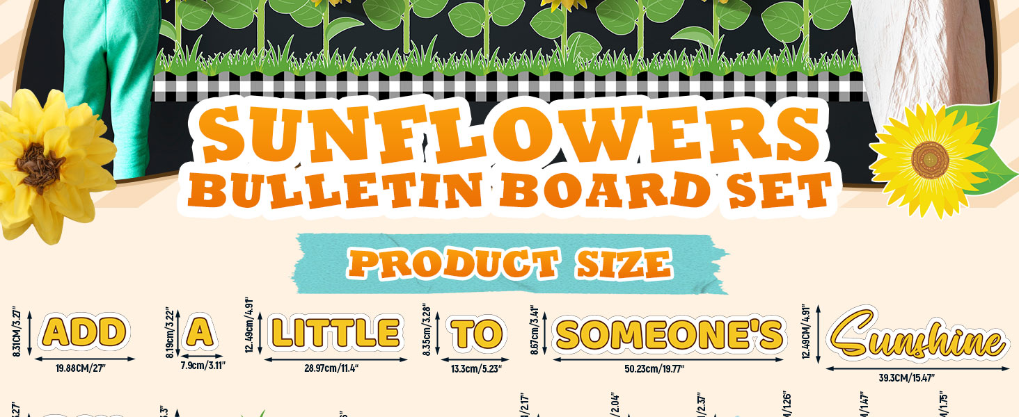 Amazon.com: Sunflower Bulletin Board Decorations Back to School 3D ...