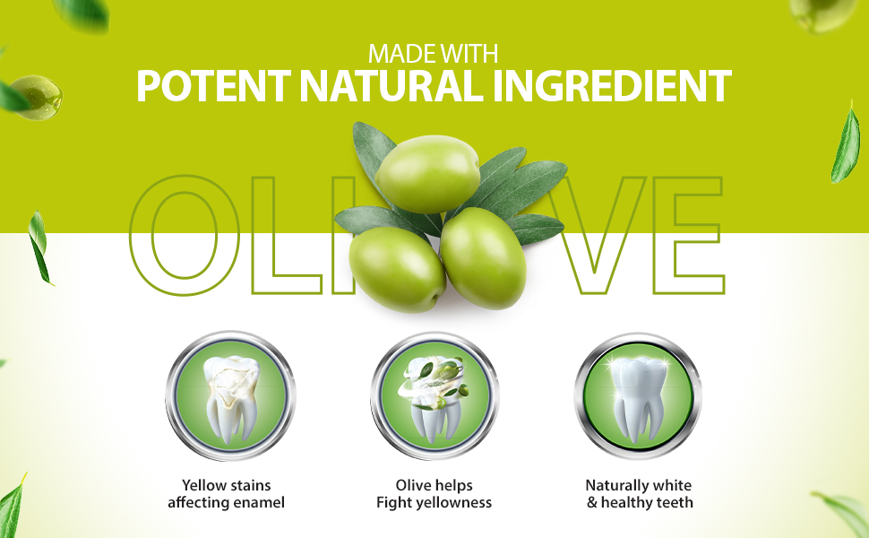 Buy Dabur Herb'l Olive Enamel Care Toothpaste - 300g (150gx2, Pack of 2) | No Flourides ...