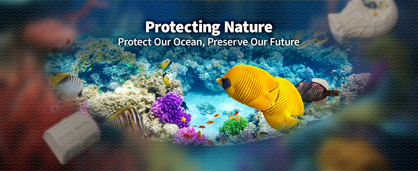 Amazon.com: GobiDex Ocean Life Fish Dig Kit, Excavate 12 Simulated ...