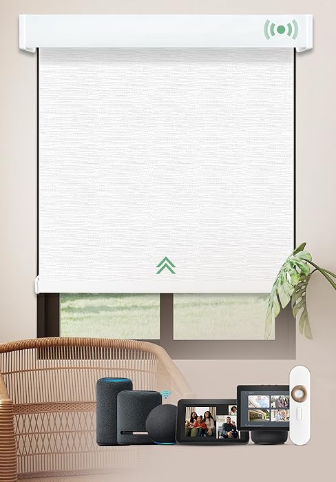 Amazon.com: MING CHEN Motorized Roller Shades with Remote Rechargeable Automatic Blackout Window ...
