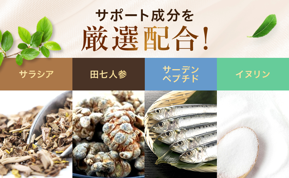 Amazon.co.jp: トリプルエイドGOLD 血糖値を下げる 血圧を下げる 内臓脂肪を減らす ストレス緩和 疲労感緩和 【機能性表示食品】 GABA サプリHMPA 30日分 : ドラッグストア