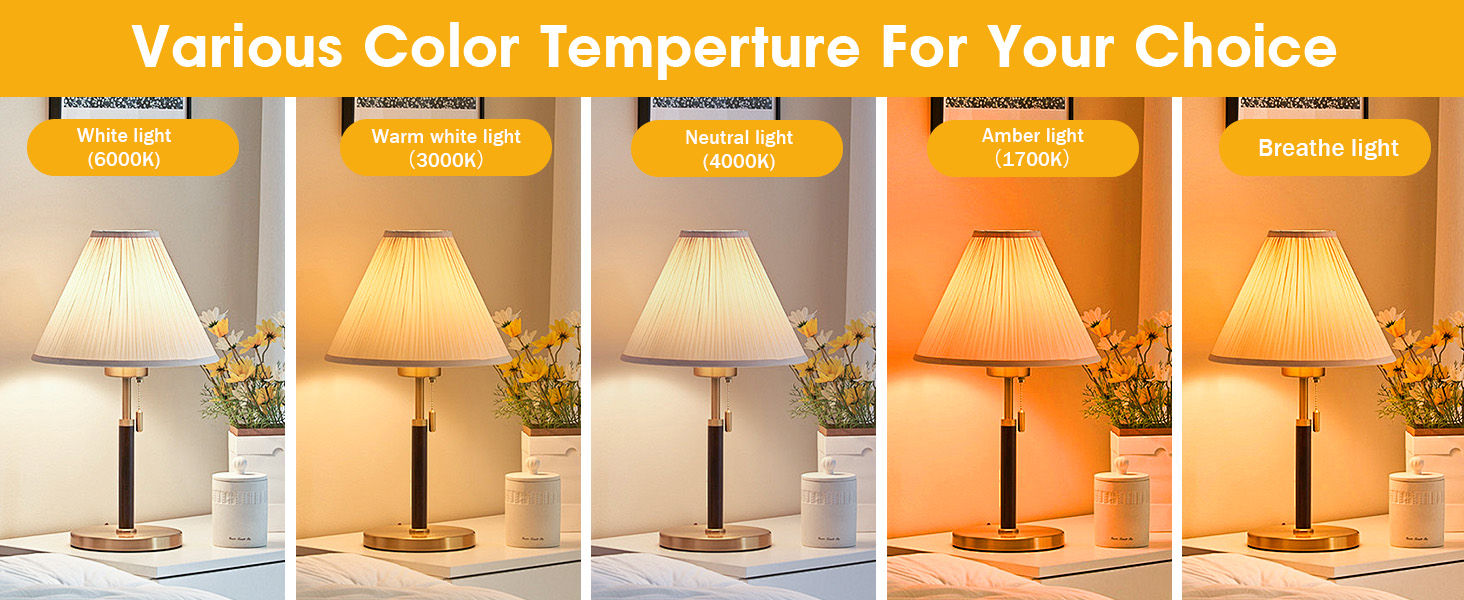 Joyes USB-C Rechargeable Lamp – 2 Pcs Battery Powered E14 Bulb with ...