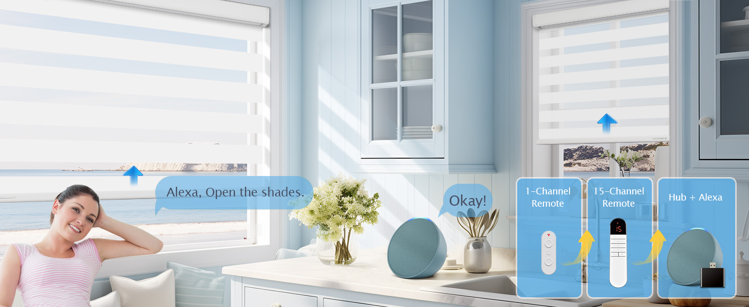 Amazon.com: DONGFXK Motorized Zebra Blinds with Remote Control,Solar Powered Light Filtering ...