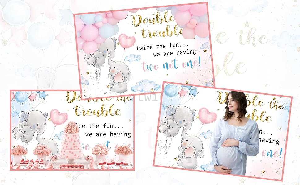 Amazon.com : Newsely Double The Trouble Twice The Fun Twins Baby Shower ...