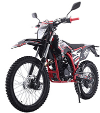Amazon.com: X-PRO Storm DLX 250 Dirt Bike with Zongshen Brand Engine 5-Speed Manual Transmission ...