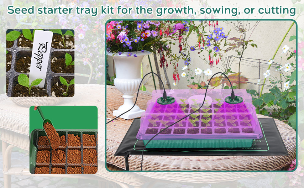 Amazon.com : NNG 40 Cells x 2 Pack Seed Starter Tray Kit with Heat Mat,Plant Germination Trays ...