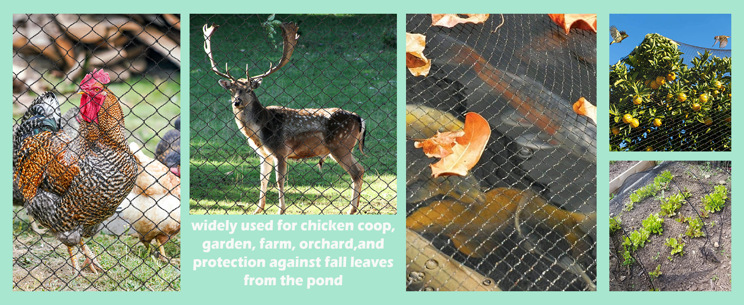 Amazon.com : 25x25ft Bird Netting for Chicken Coop Poultry Netting 1/2 inch Mesh Heavy Duty ...