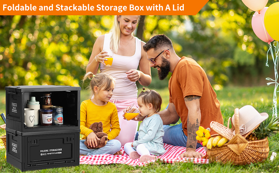 Amazon.com: TOEEBR Collapsible Storage Bins with Lids, Portable ...