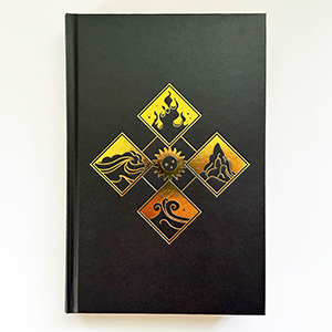 Sanctuary of the Shadow (Elemental Emergence, 1): Ascher, Aurora: 9781649374110: Amazon.com: Books