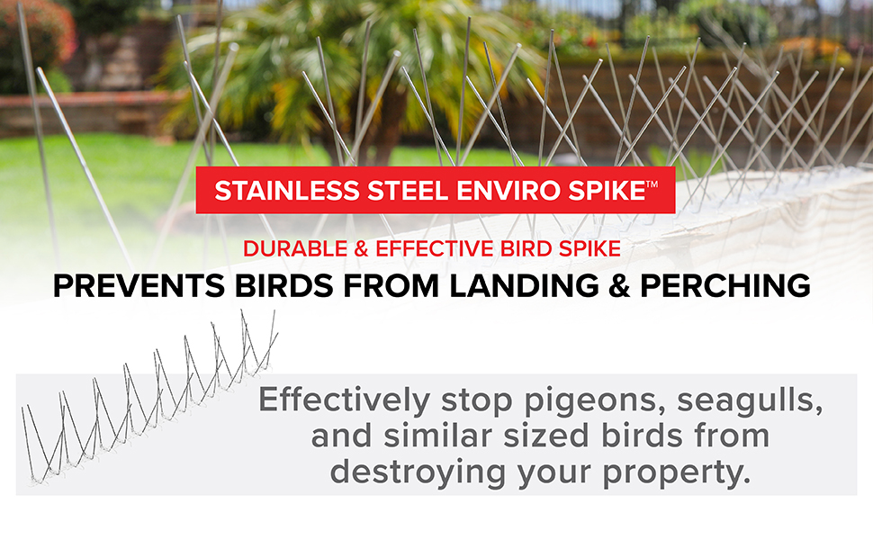 Amazon.com : Bird B Gone - Pre-Assembled EnviroSpike Stainless Steel Anti Bird Spikes (24') - UV ...