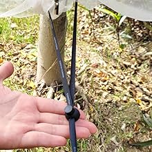 Amazon.com : 8.2x8.2ft Large Tree Netting for Fruit Trees Keep Birds Squirrels Cicadas and Small ...