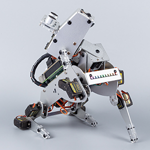 Amazon.com: SunFounder PiDog Robot Dog Kit for Raspberry Pi 4/3B+/3B ...