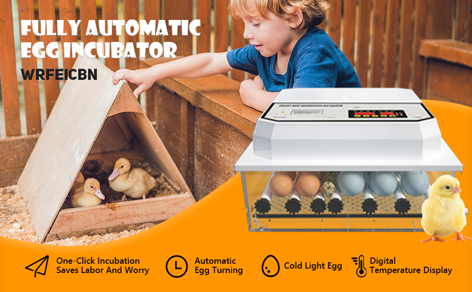 Amazon.com: WRFEICBN 36-Egg Incubator Hatching Eggs 360°Automatic Egg Turning, Temp Auto-Control ...