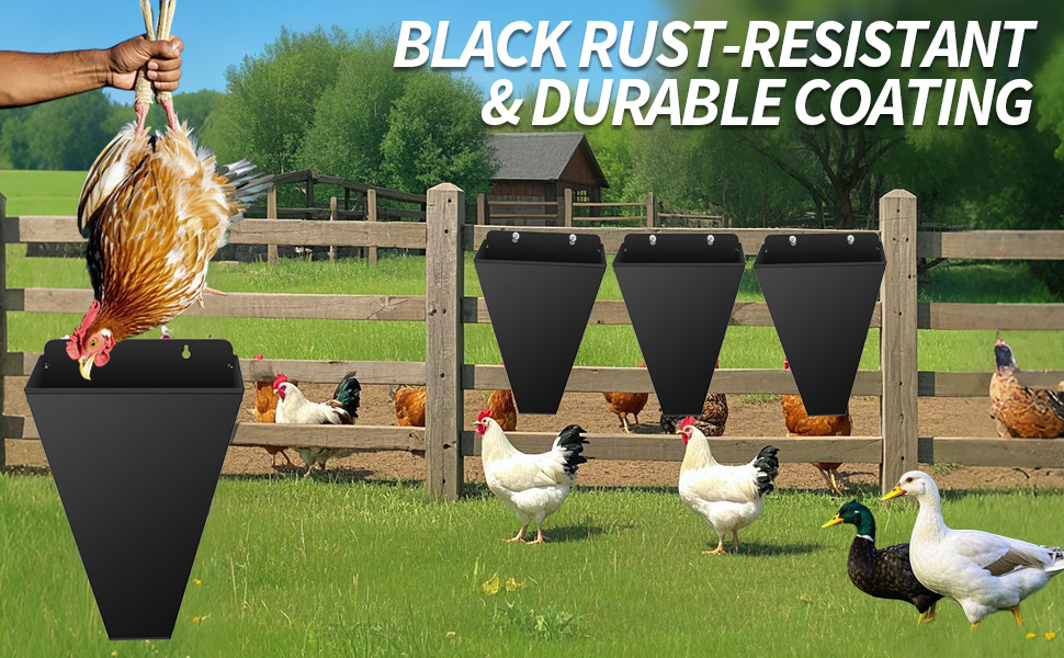 Amazon.com : 3 Pack Medium Size Chicken Cone, Heavy-Duty Steel Poultry Restraining Cones for ...