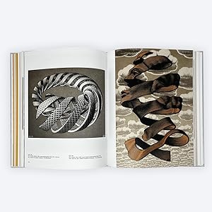 Amazon.com: Escher: 9788857251431: Escher, M.C., Giudiceandrea, Federico, Veldhuysen, Mark ...