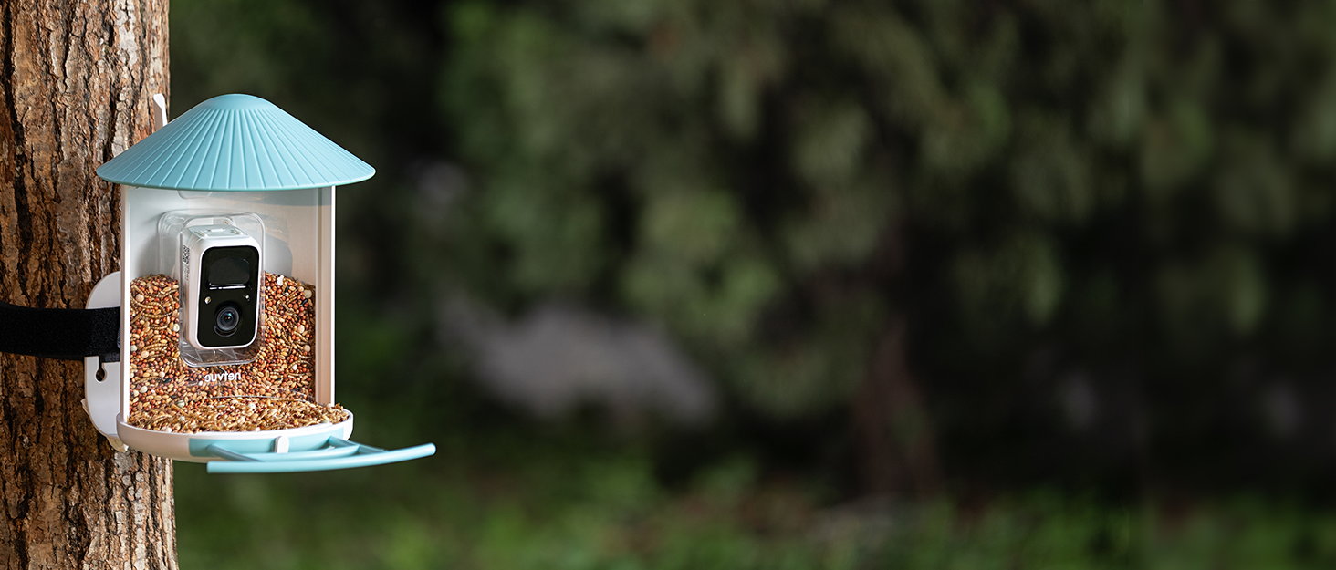 NETVUE Birdfy Lite-Smart Bird Feeder Camera, Auto Capture and Record Bird Videos & Push Motion ...