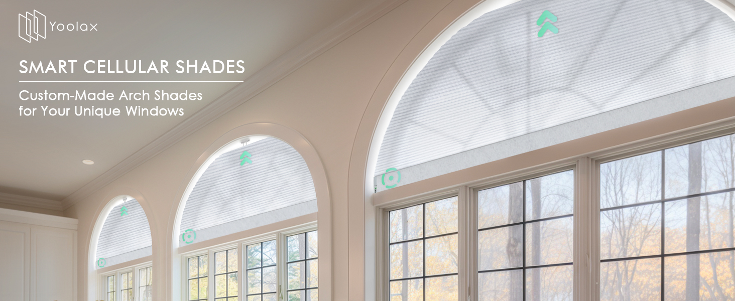 Amazon.com: Yoolax Smart Cellular Shades, Motorized Arch Window Shades Honeycomb Blinds ...