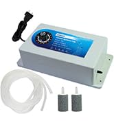 Amazon.com: Lamudo Ozone Generator for Hot Tubs and Cold Plunge, 100 mg/h, Upgraded SPA-124 Spa ...