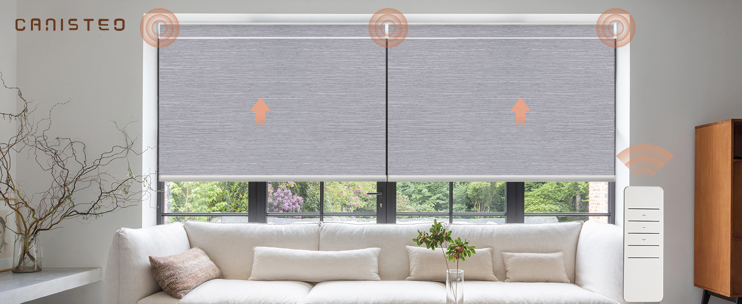 Amazon.com: Motorized Blinds Roller Shade with Remote: Canisteo Automatic Smart Blind for ...