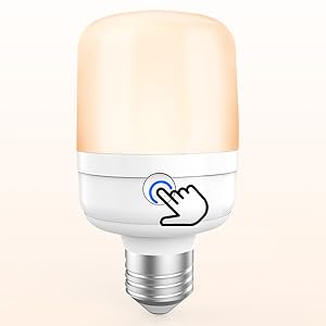 Eocean E27 Rechargeable Light Bulbs with Remote Control, Wireless Light ...