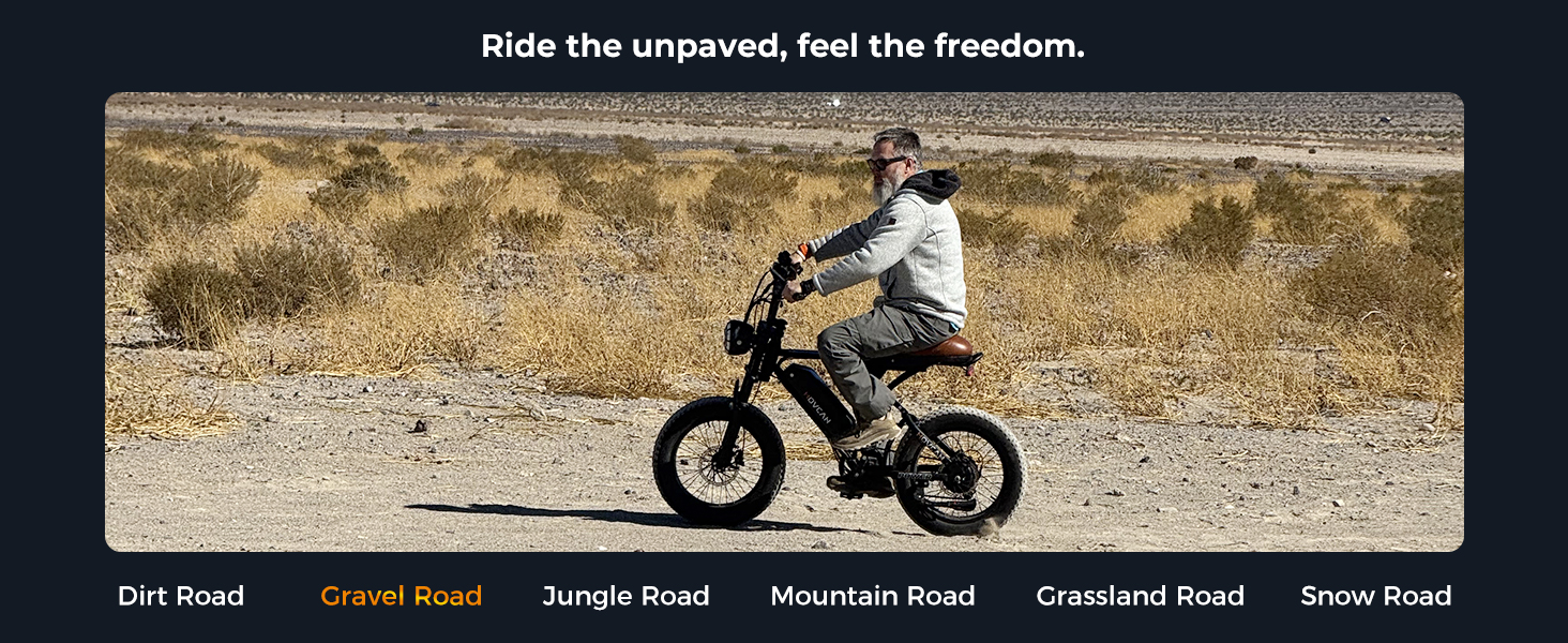 Amazon.com : Movcan V60/V60 Pro Electric Bike, 48V 15.6/18.2Ah Removable Battery 20” Fat Tire ...