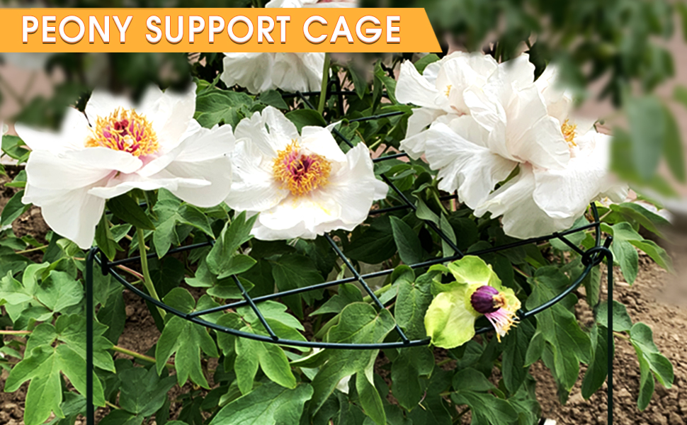 Amazon.com: Sekcen 6 Pack 16 x 24 Inch Peony Support Cage Grow Through Plant Supports for ...