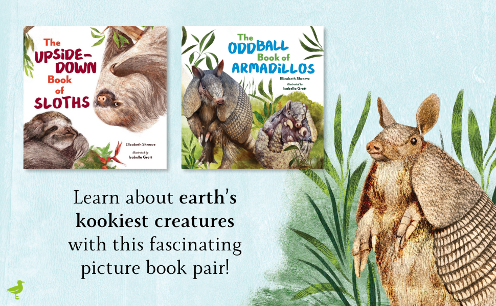 The Upside-Down Book of Sloths: Shreeve, Elizabeth, Grott, Isabella: 9781324015772: Amazon.com ...