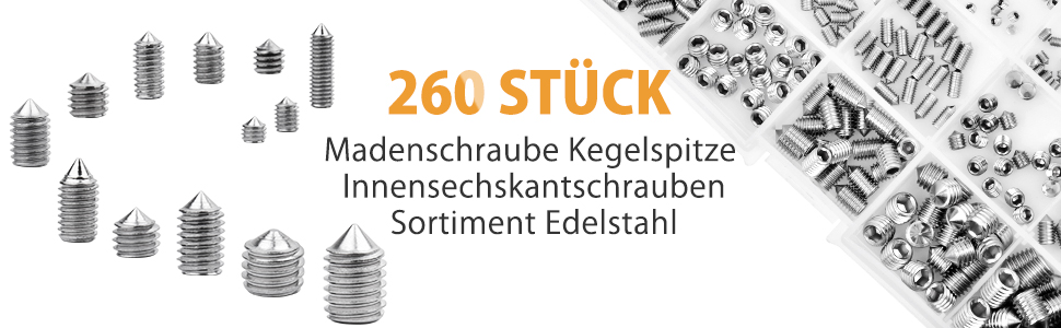 VIGRUE 260 Stück Madenschraube Kegelspitze Hex Madenschrauben Sortiment M3 M4 M5 M6 M8 Edelstahl ...