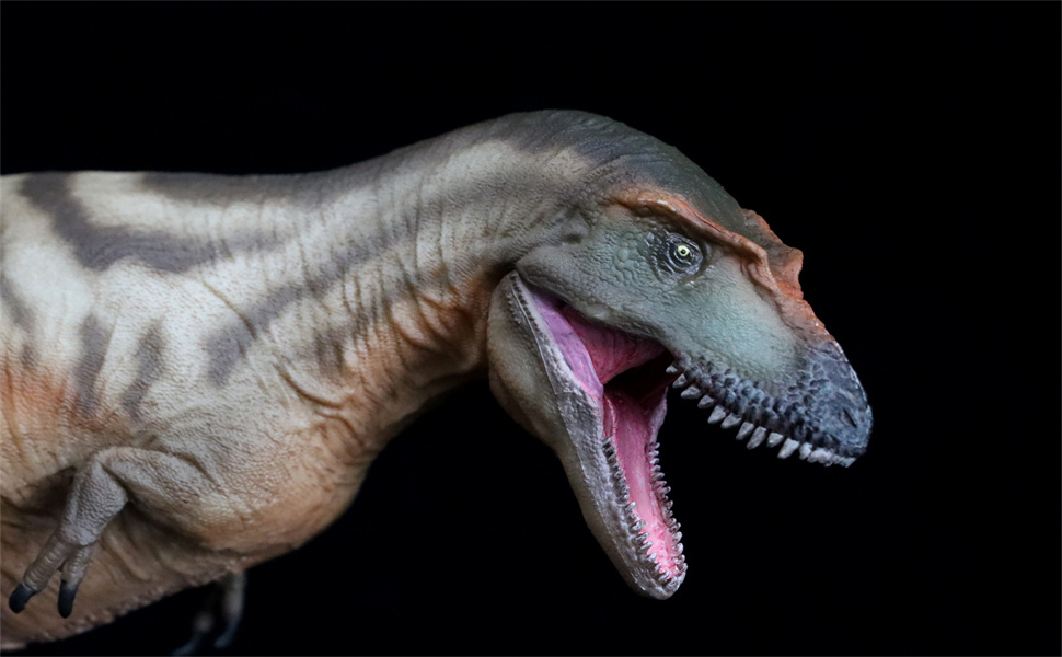 Amazon.com: WLNTDOLA 71 Gorgosaurus Tristan Figure Tyrannosauridae PVC Animal Model Mouth is ...
