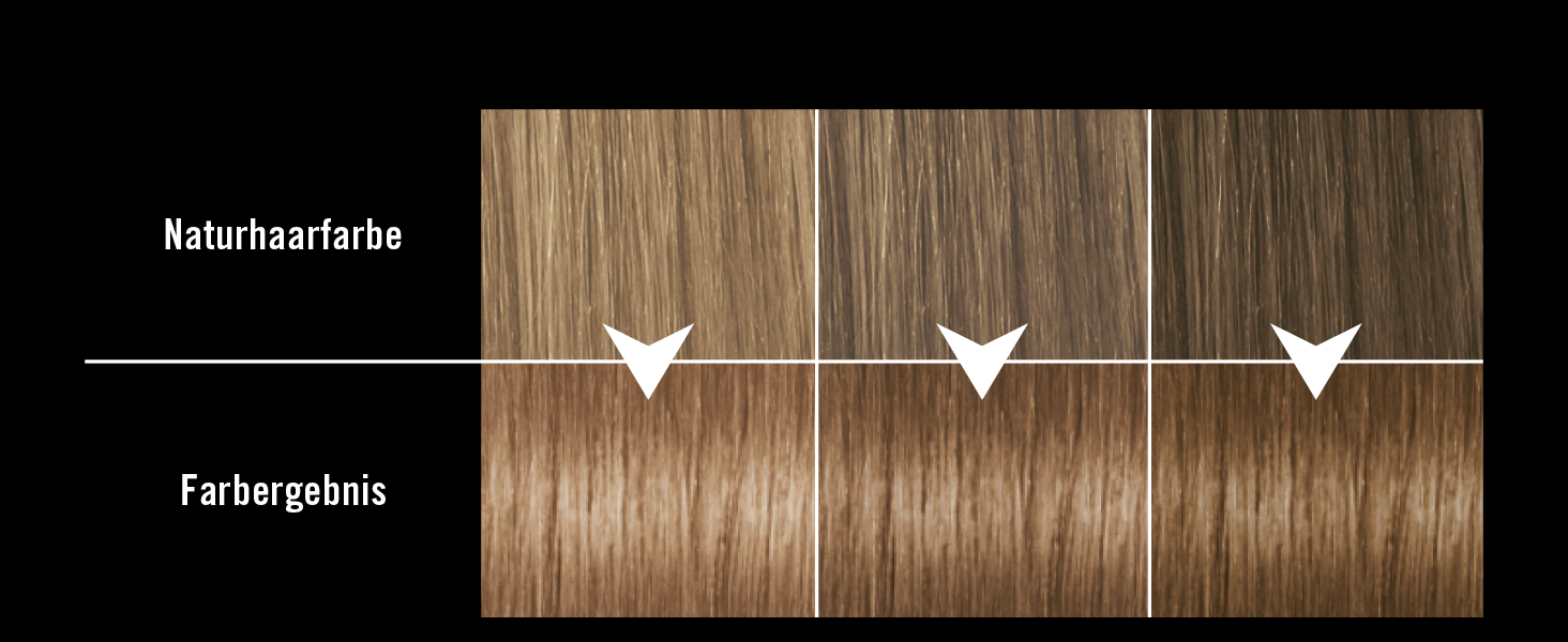 Syoss Color Coloration 6_8 Dunkelblond Stufe 3 (3 x 115 ml), permanente Haarfarbe für bis zu 10 ...