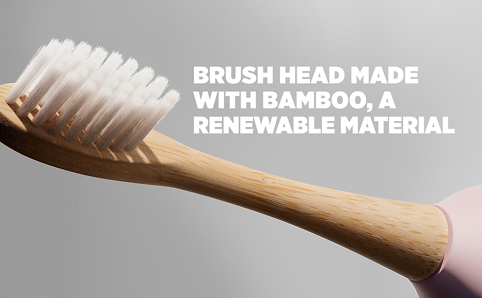 Amazon.com: Lumineux Sonic Electric Toothbrush for Adults - Bamboo Heads - in Bloom (Pink ...